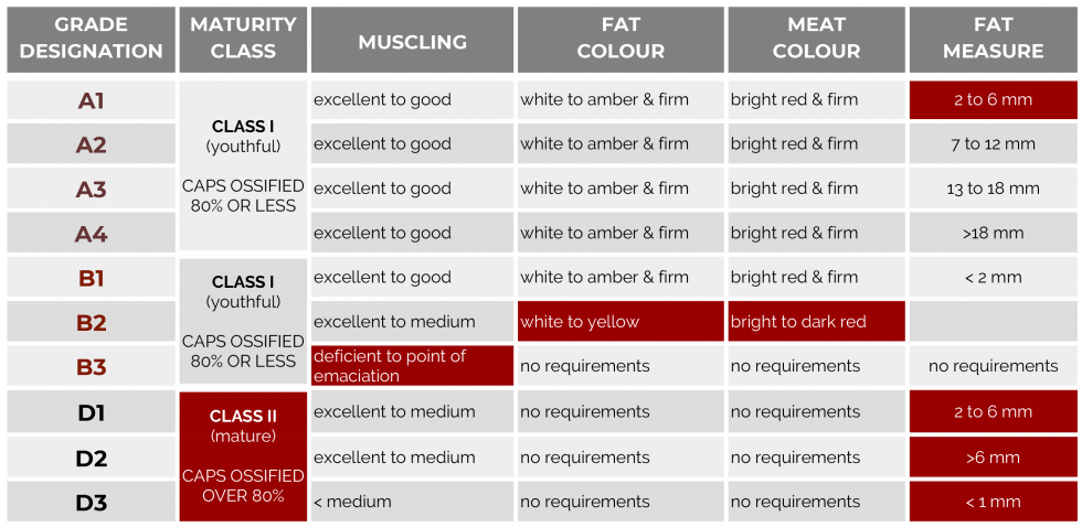 Bison Grading | Canadian Beef Grading Agency