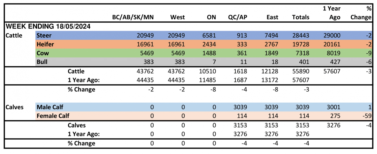 Slaughter & Grading Statistics | Canadian Beef Grading Agency