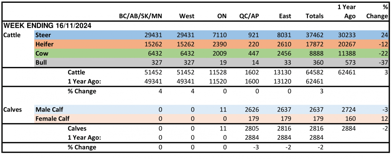 Slaughter & Grading Statistics | Canadian Beef Grading Agency