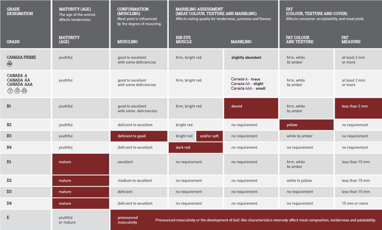 Beef Grading | Canadian Beef Grading Agency