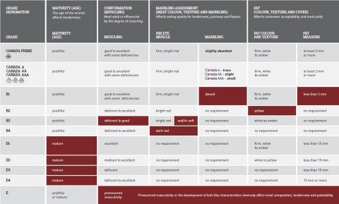 Beef Grading | Canadian Beef Grading Agency