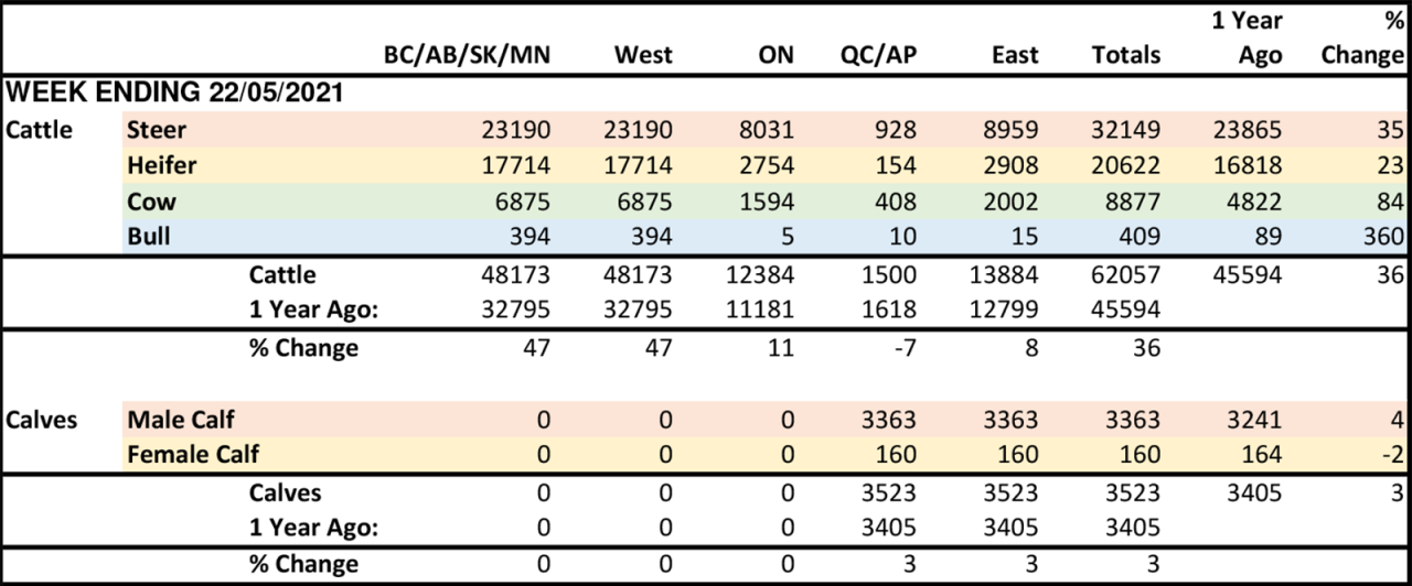 Slaughter & Grading Statistics | Canadian Beef Grading Agency
