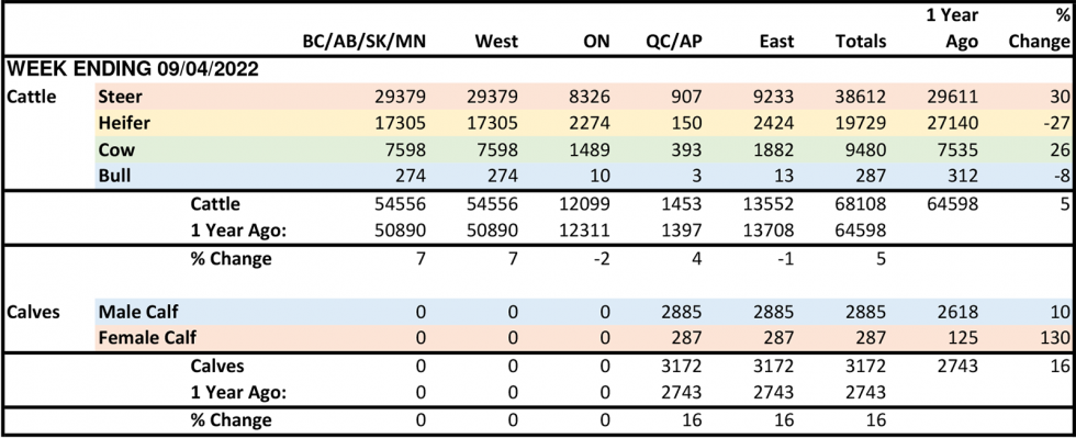 Slaughter & Grading Statistics | Canadian Beef Grading Agency